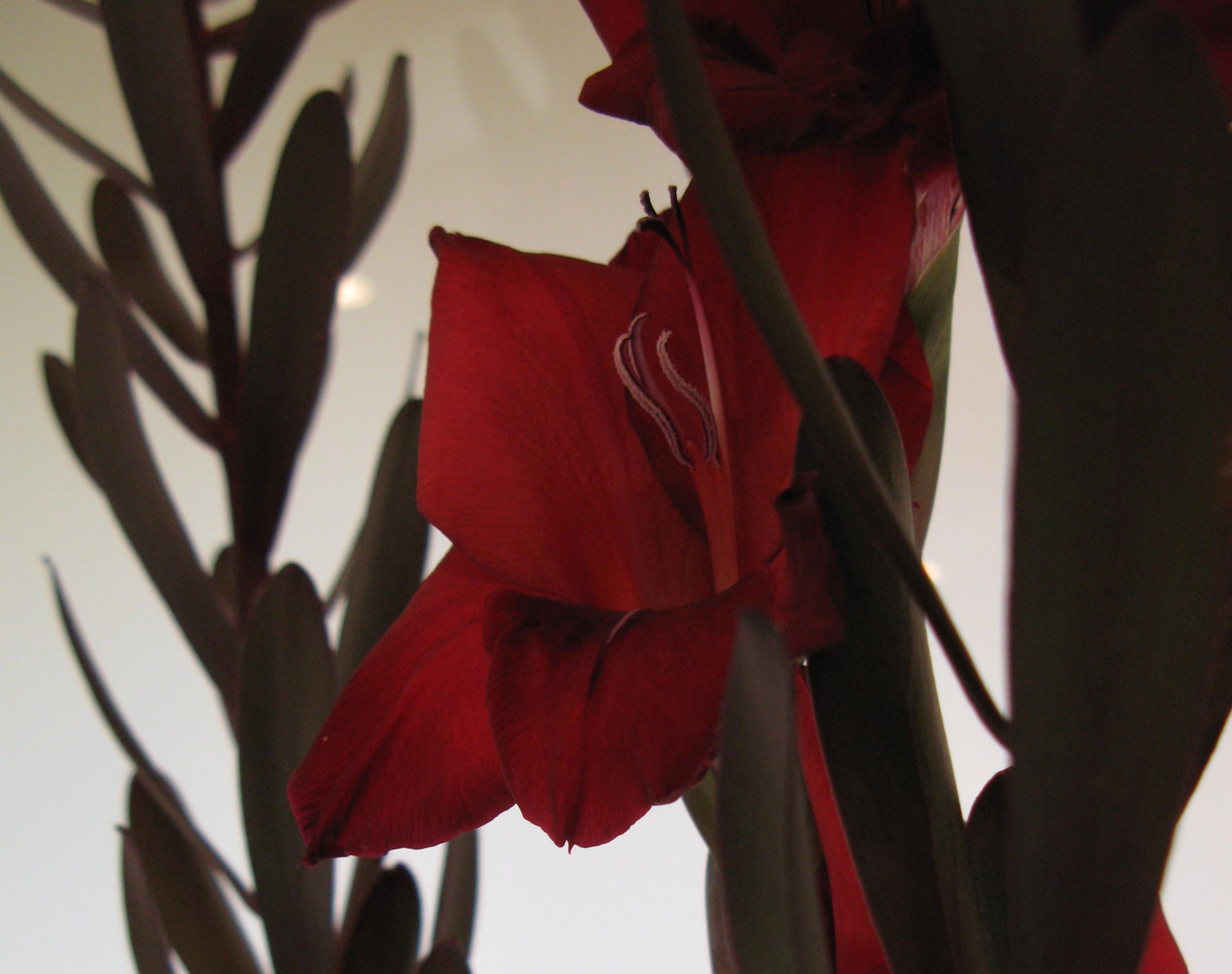 Contact Us - Halcyon HairdressingHalcyon Hairdressing